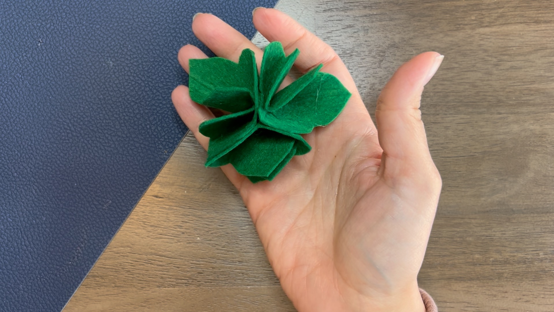 finished succulent – The Crafty Lefty – Easy DIY Tutorials For Your ...